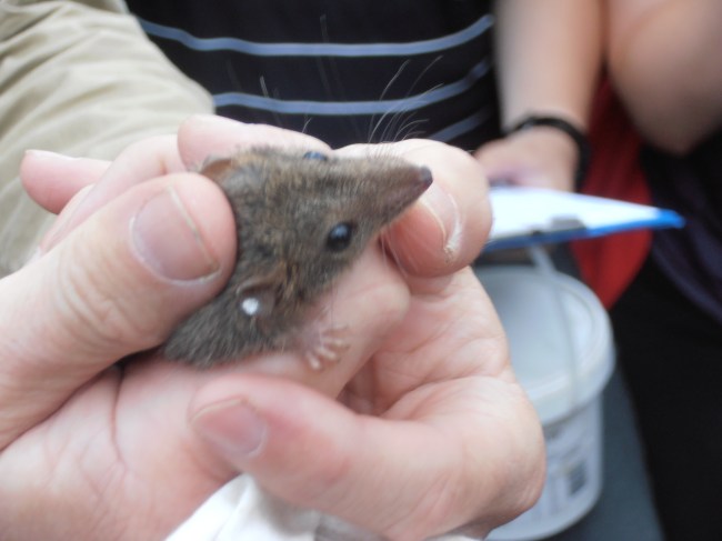 Beautiful Booderee: My Fieldwork Experience | Biodiversity Conservation