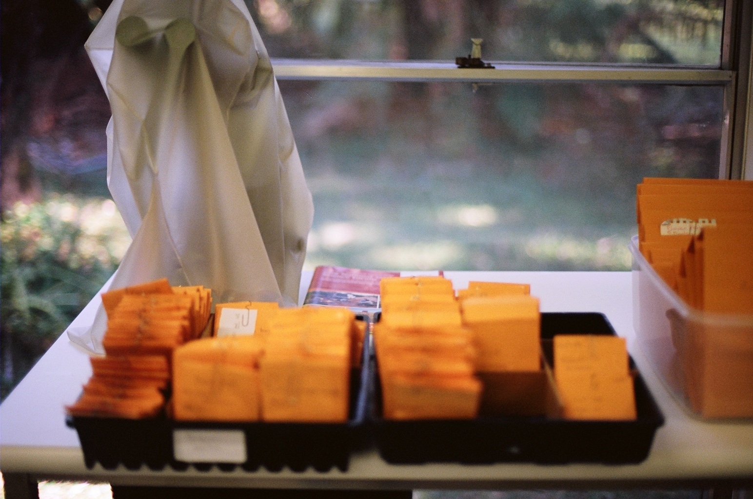 A peek inside Australia’s National Seed Bank | Biodiversity Conservation