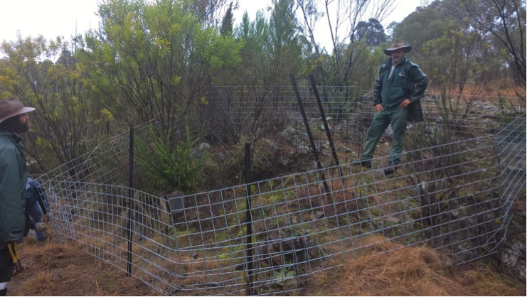 ACT Parks and Wildlife, Management of the Murrumbidgee River Corridor ...