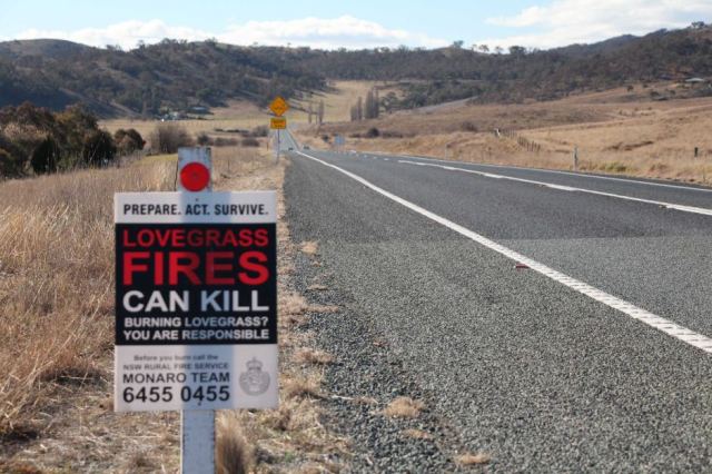 Things are heating up: invasive grassy weeds and climate change in ...