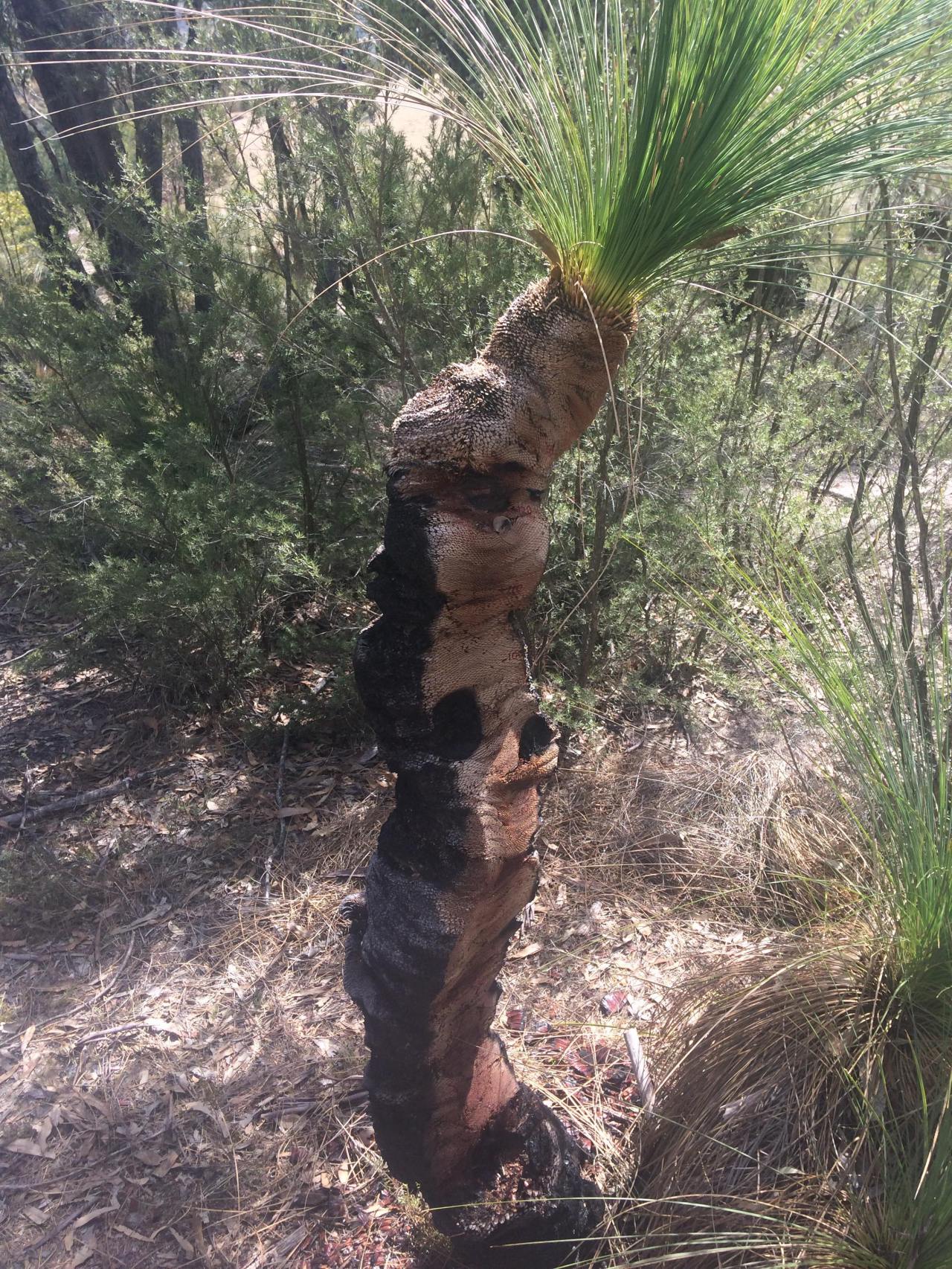 Tidbinbilla Nature Reserve | Biodiversity Conservation