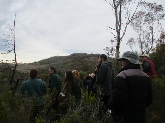 A Dam Fine Job!: ACT ParkCare along the Upper Murrumbidgee River ...