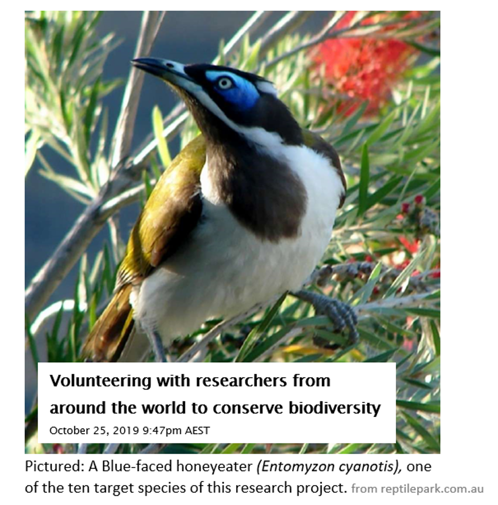 Volunteering with researchers from around the world to conserve ...