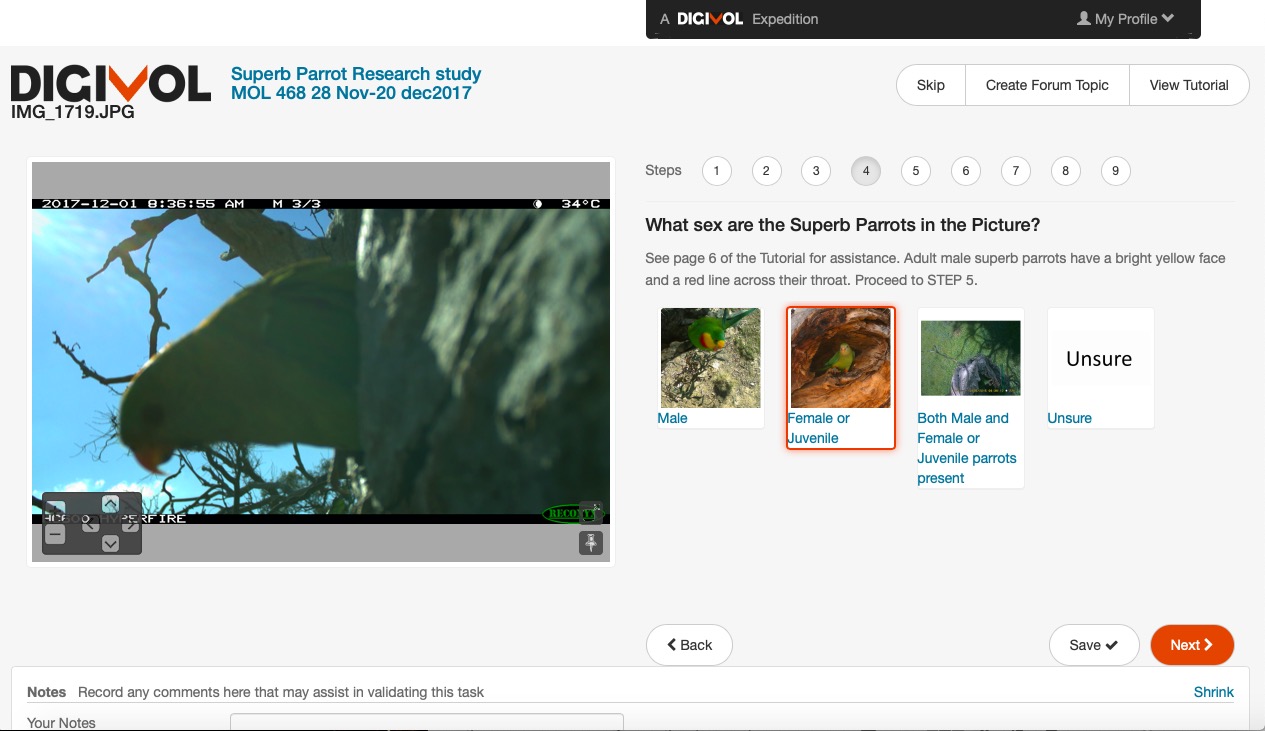 Working for Superb Parrot Research study | Biodiversity Conservation