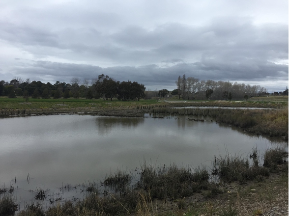 Changing Climates, Eroded Gullies and Community Spirit | Biodiversity ...