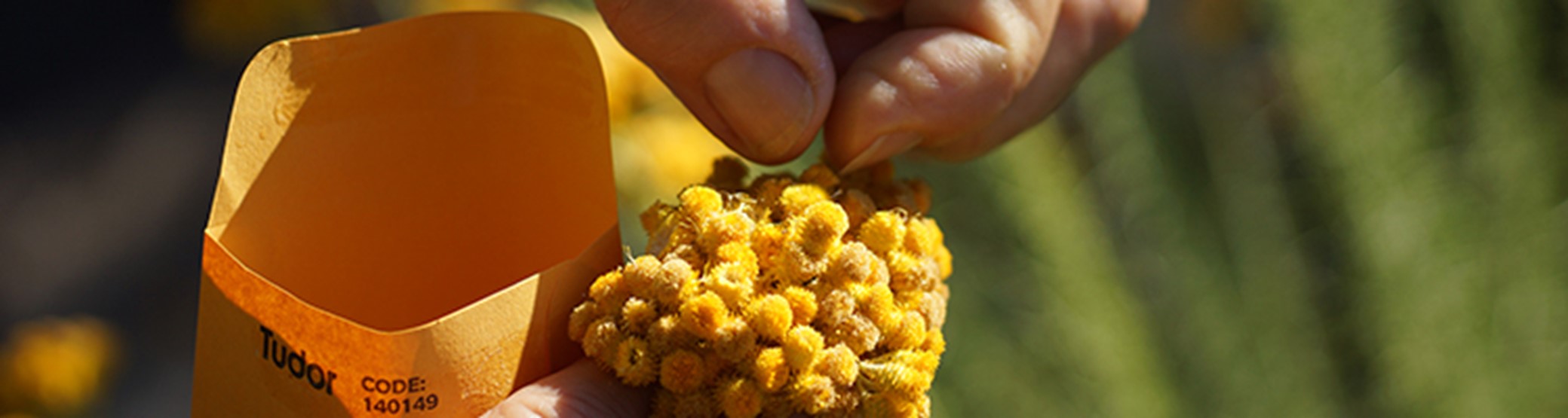 A new Seed Bank to conserve biodiversity for generations to come ...